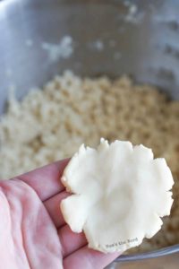 Cherry Bell Cookies - Num's the Word