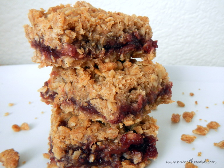 Raspberry Bars - Num's the Word