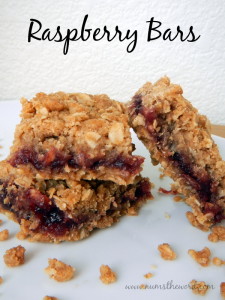 Raspberry Bars - Num's the Word