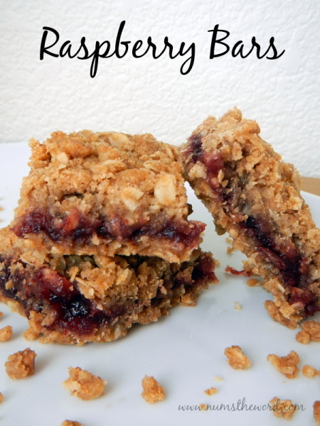 Raspberry Bars - Num's the Word