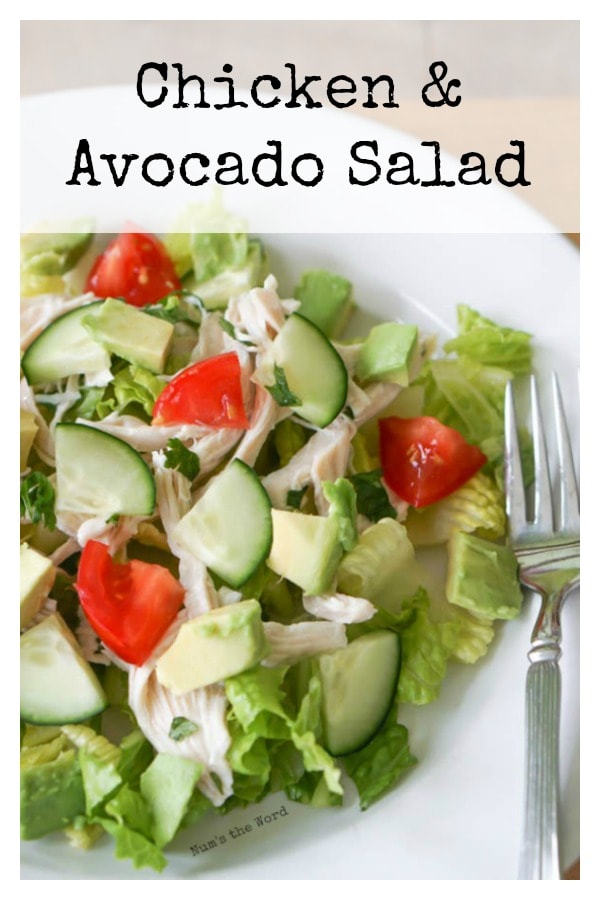 Chicken & Avocado Salad - Num's the Word