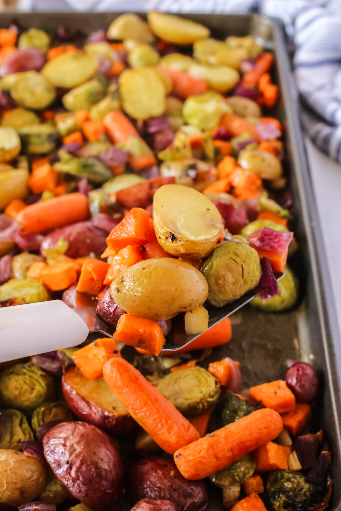 Roasted Winter Vegetables - Num's the Word