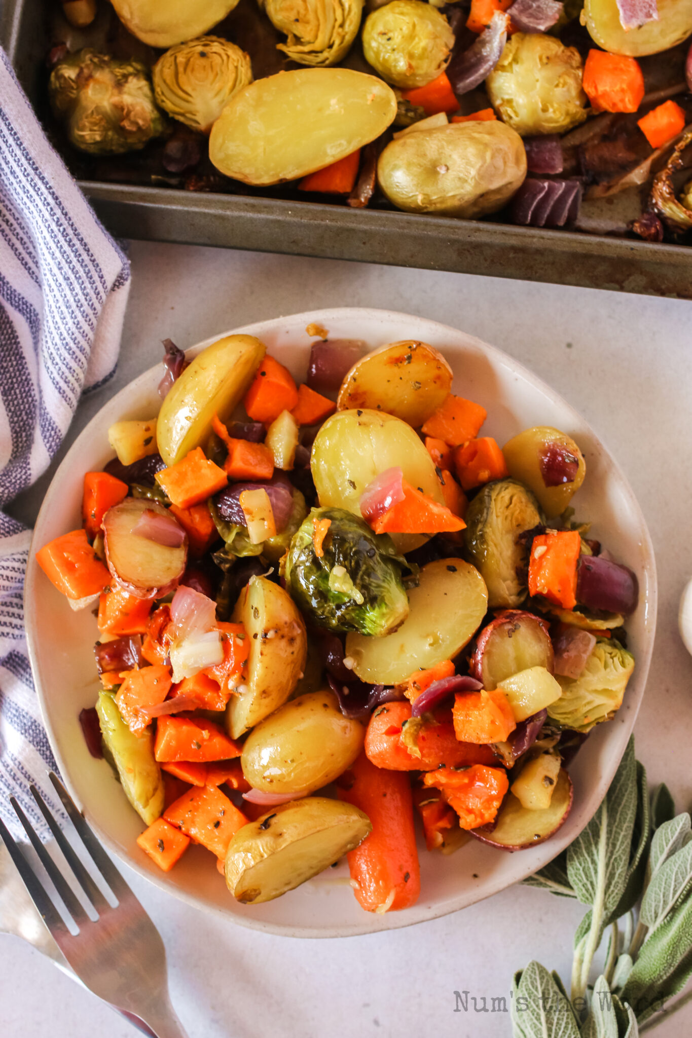 Roasted Winter Vegetables - Num's the Word