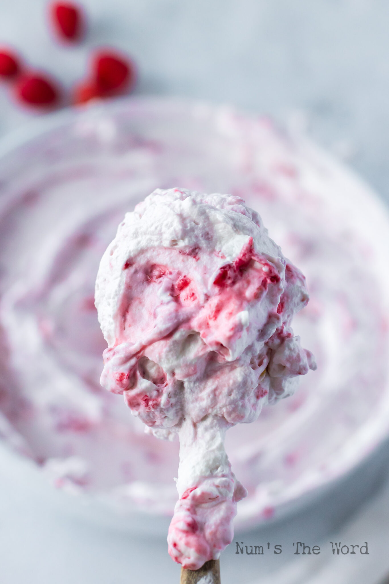 Raspberry Fool - Num's the Word