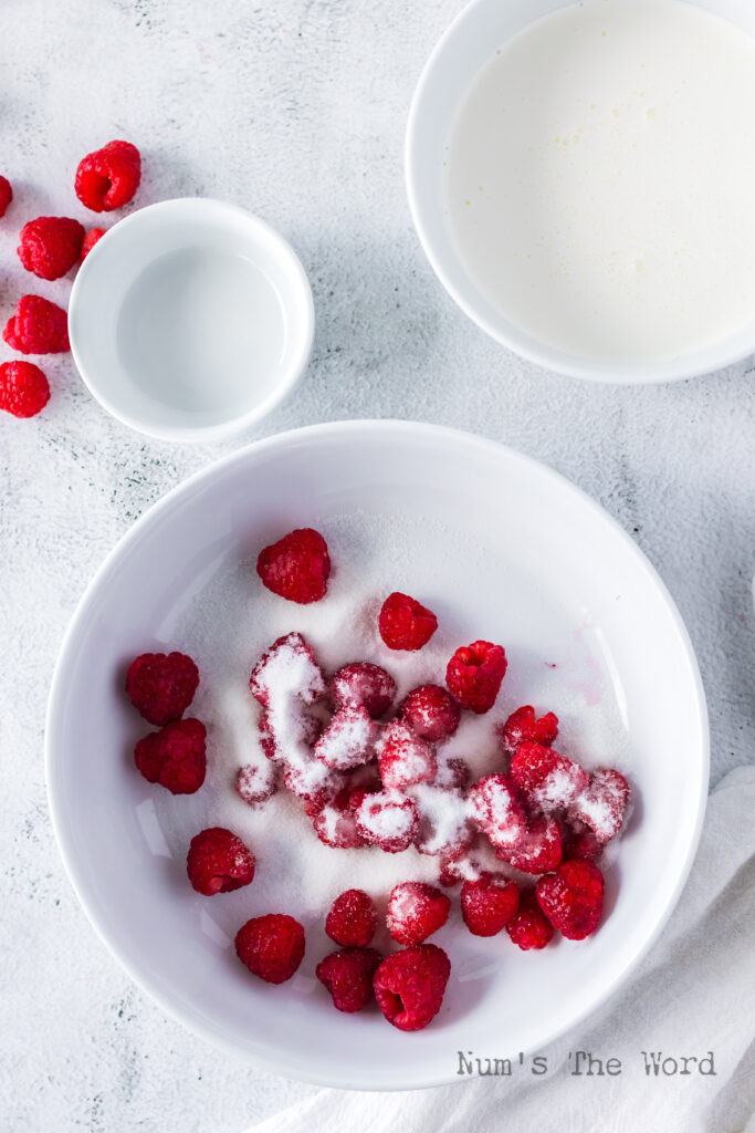 Raspberry Fool - Num's the Word