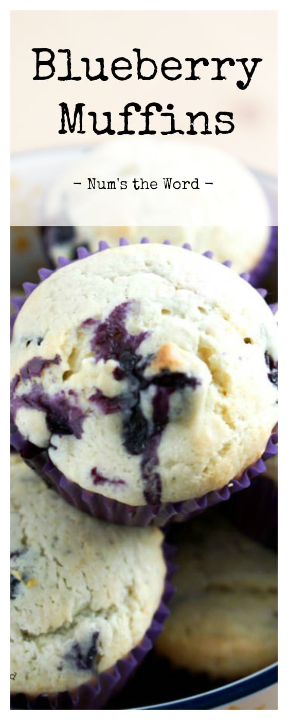 Blueberry Muffins - Num's the Word