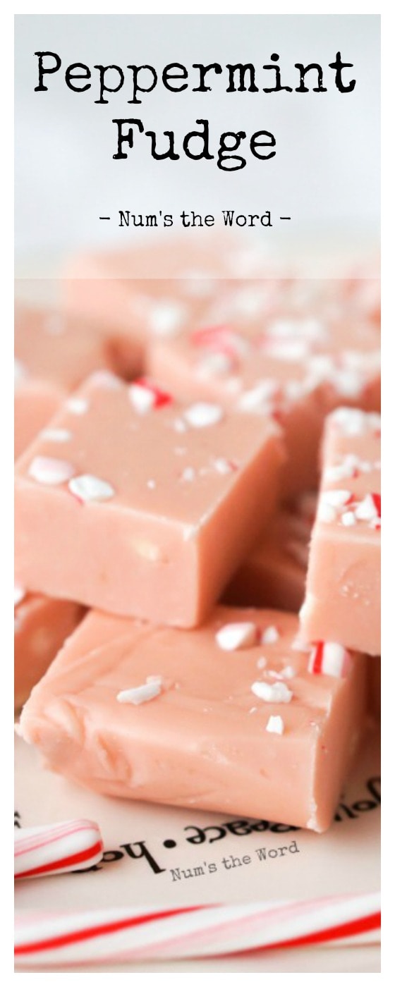 Peppermint Fudge - Num's the Word