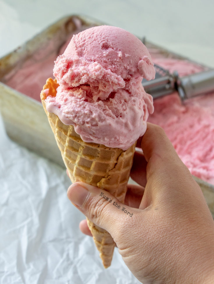 Homemade Raspberry Ice Cream Recipe - Num's the Word