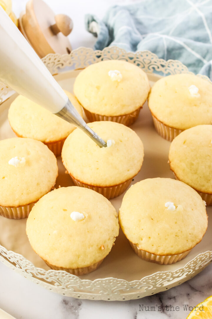 Lemon Cupcakes - Num's the Word