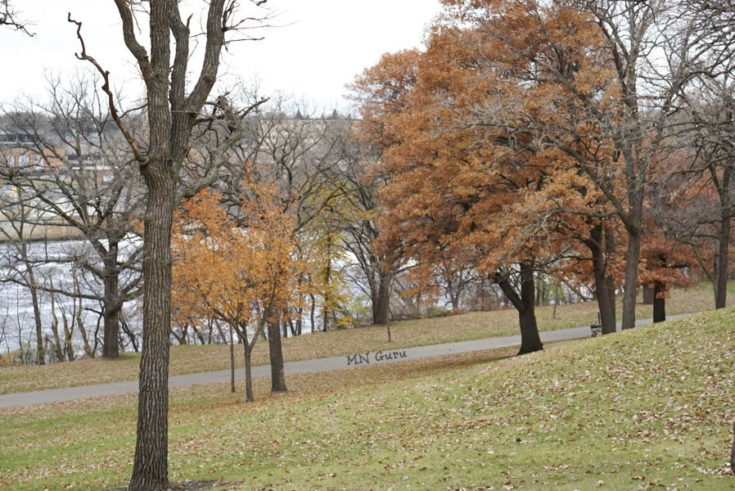 Everything You Need to Know about Riverside Park - Minnesota Guru