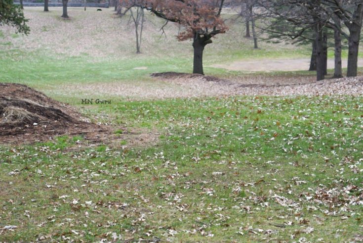 Everything You Need to Know about Riverside Park - Minnesota Guru