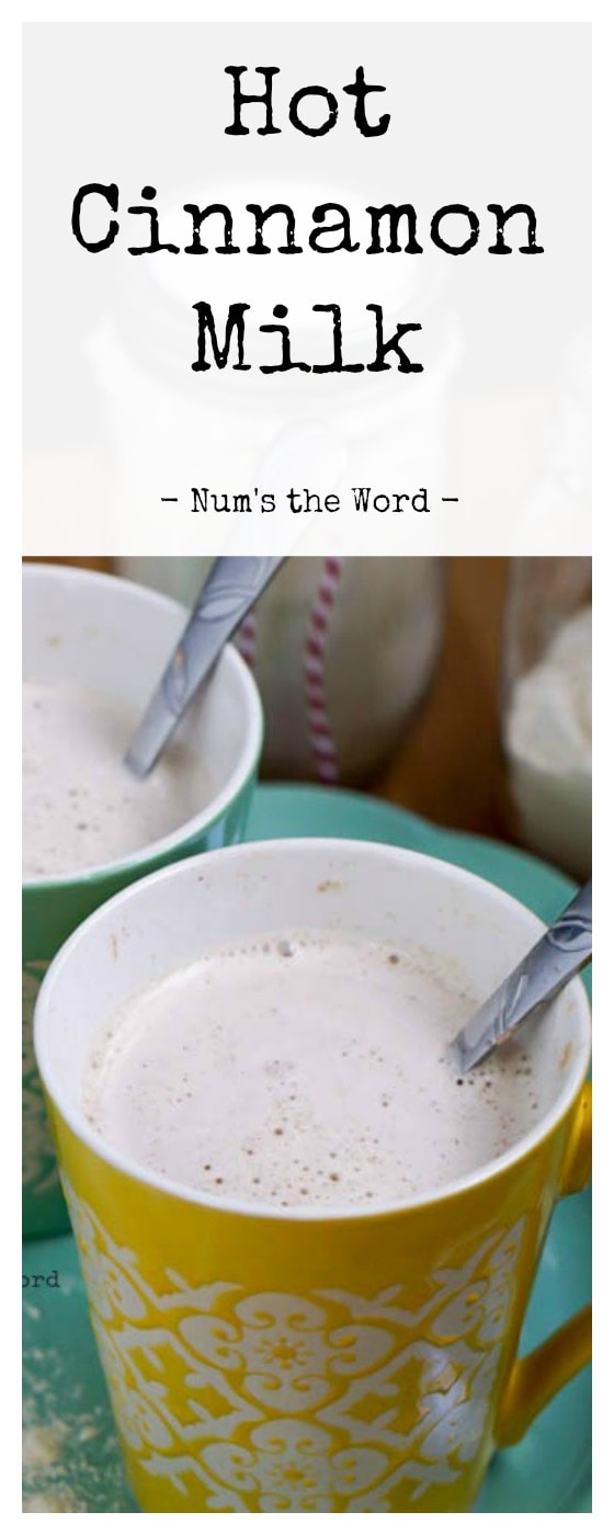 Hot Cinnamon Milk - Num's the Word