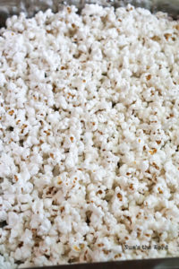 Ghost Poop - White Chocolate Popcorn - Num's the Word