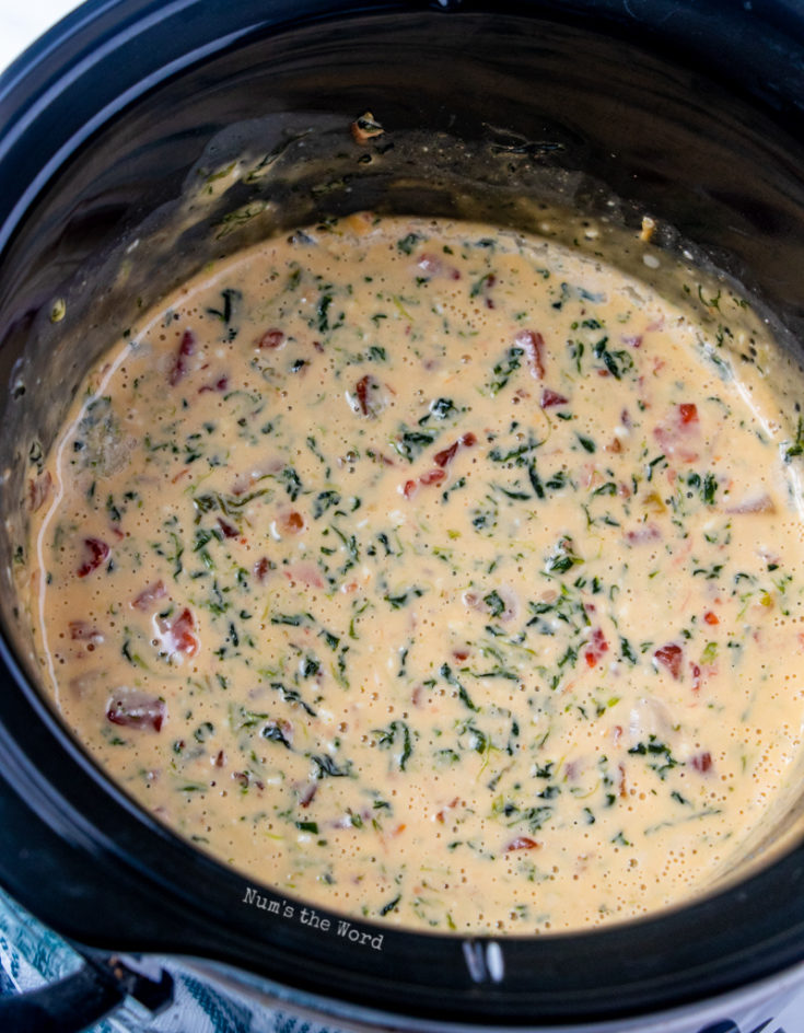 Cheesy Bacon Spinach Dip {Crock Pot} - Num's the Word