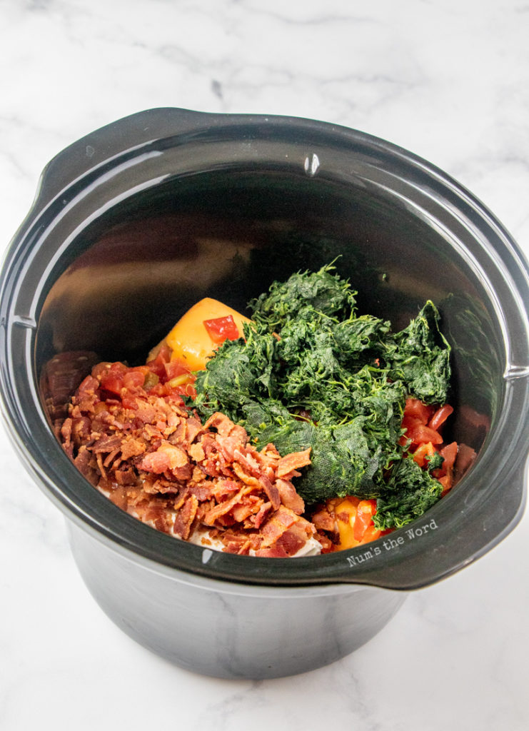 Cheesy Bacon Spinach Dip {Crock Pot} - Num's the Word