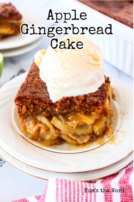 Apple Gingerbread Cake - Num's the Word