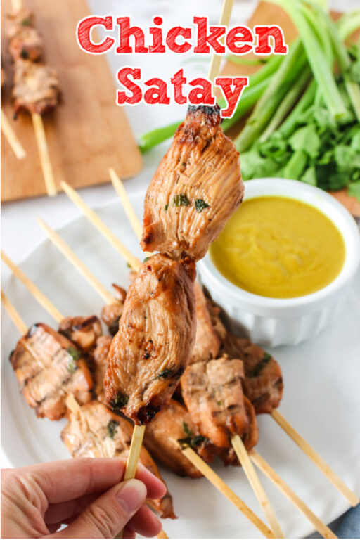 Chicken Satay - Num's the Word