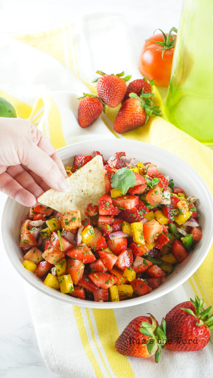 Strawberry Salsa - Num's the Word