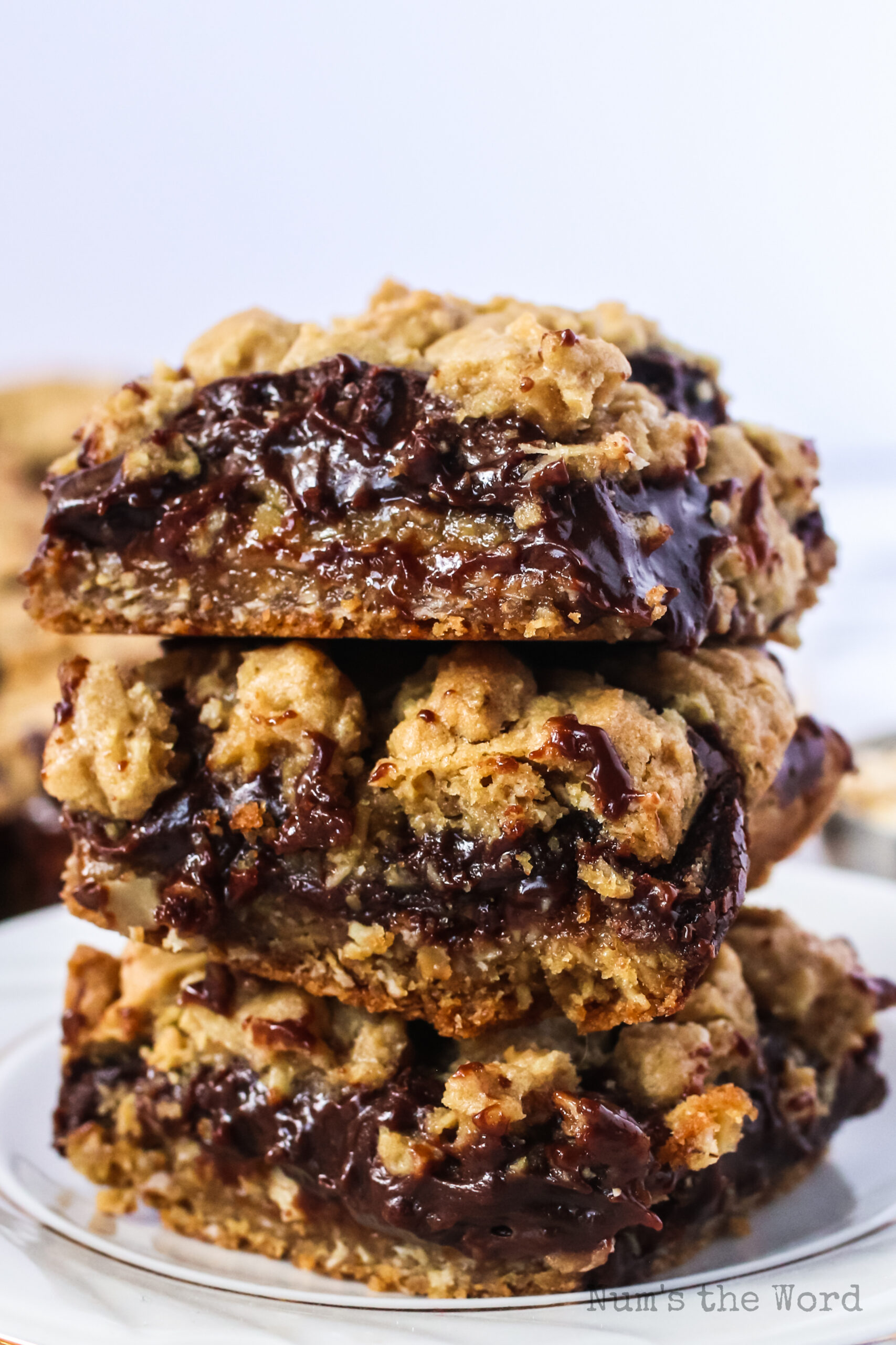 Revel Bars - Num's the Word