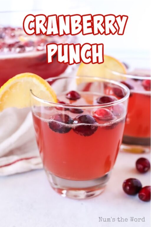 Cranberry Punch Recipe - Num's the Word