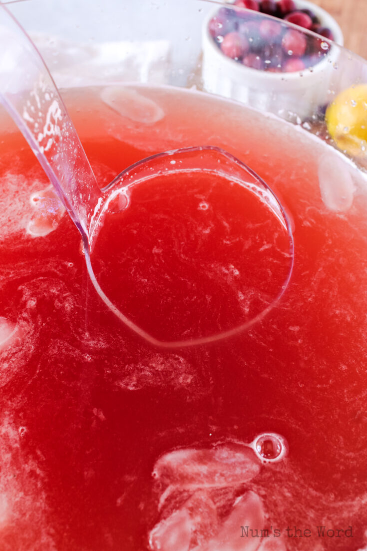Cranberry Punch Recipe - Num's the Word