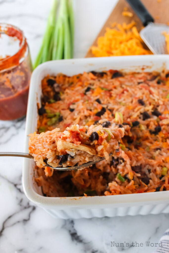 Salsa Chicken and Rice - Num's the Word