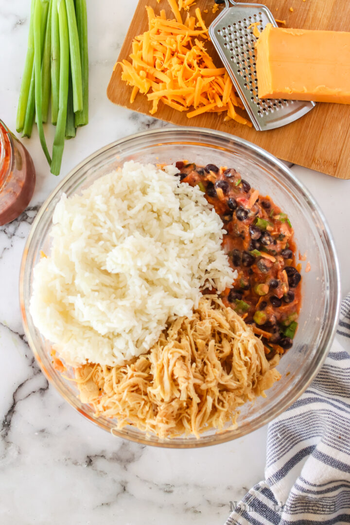 Salsa Chicken and Rice - Num's the Word