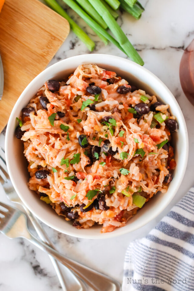 Salsa Chicken and Rice - Num's the Word